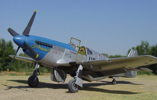 1/48 Tamiya P-51B by Ian Robertson`
