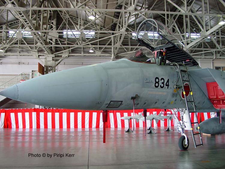 F-15J/DJ Walk Around